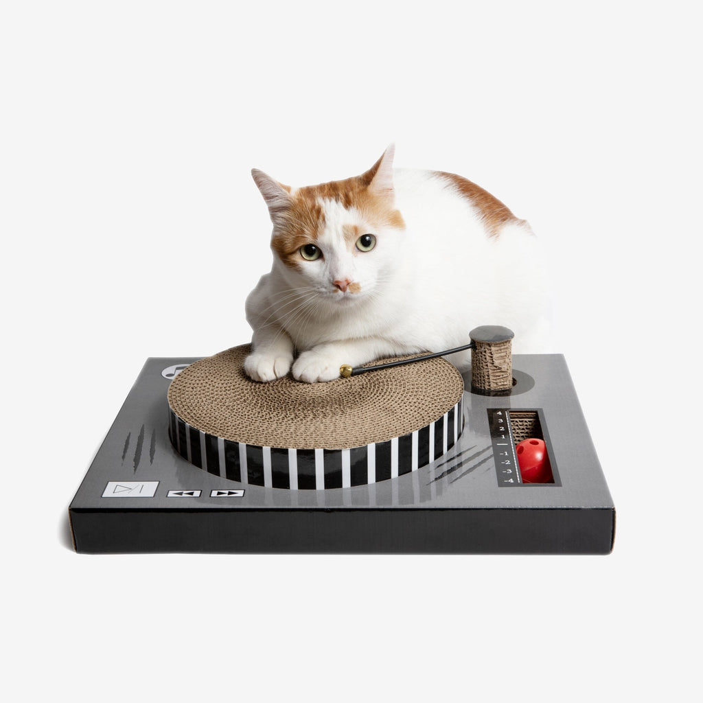 CAT SCRATCHER DJ TURN TABLE – Nandog Pet Gear™